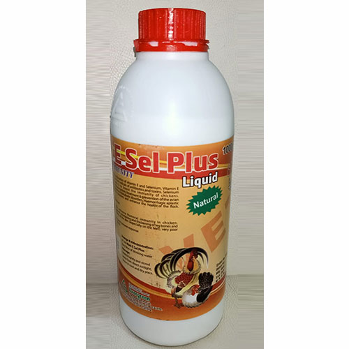 Mak E Sel Plus – Evergreen